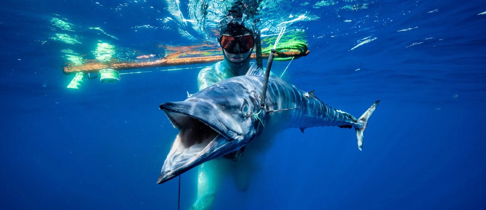Sumbawa Whale Shark Tour I Tour 3 Days 2 Night